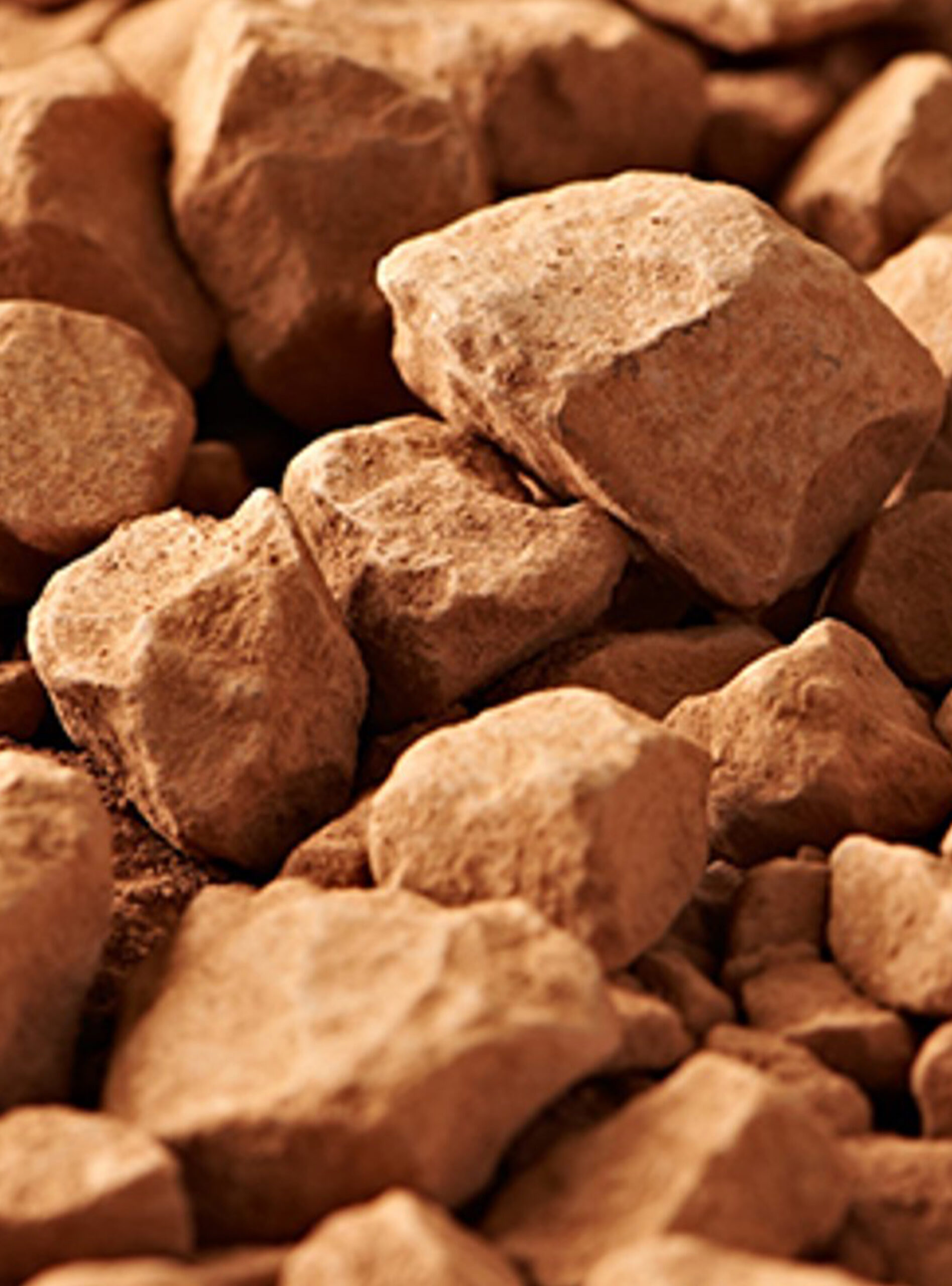 Products | Atlantic Cocoa Corporation