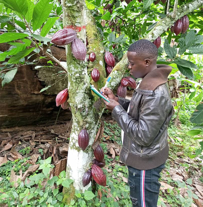 Atlantic Cocoa Corporation