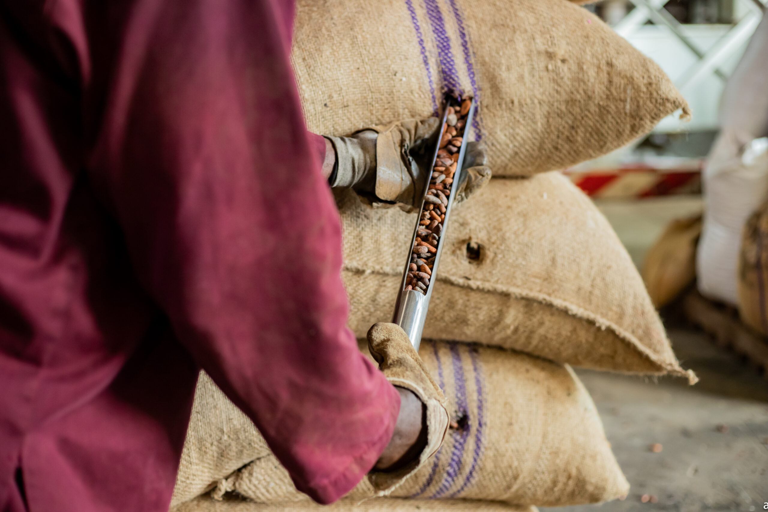 About us | Atlantic Cocoa Corporation