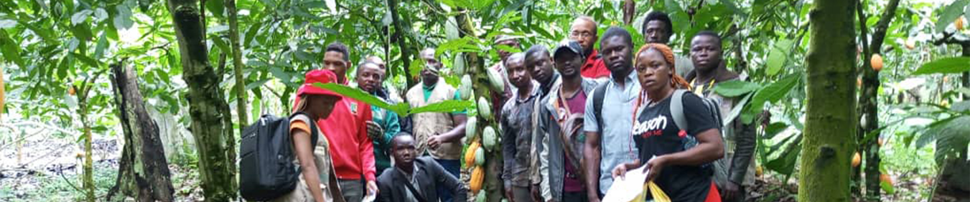 Cocoa in digital | Atlantic Cocoa Corporation